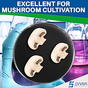 ES EVVIVA SCIENCES Prepoured Black Potato Dextrose Agar Plates – Includes Both Black Dye & Charcoal - Enhanced Culture Visualization - Excellent Growth Medium - Great for Mushrooms & Science Projects