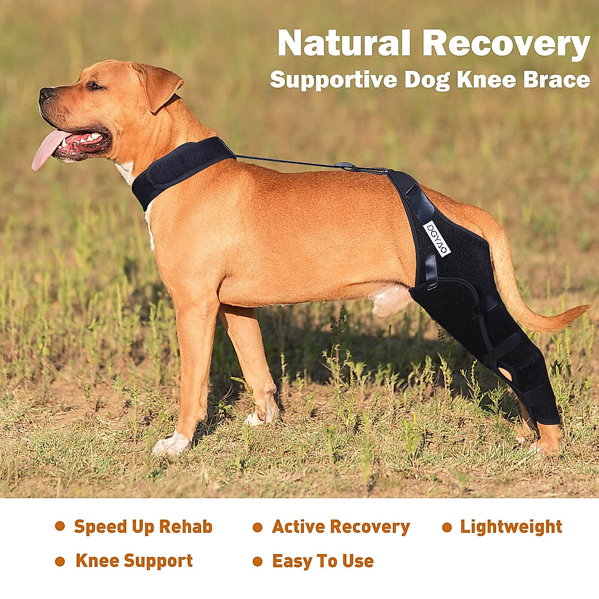 DGYAO Dog Knee Brace for ACL, Knee Cap Dislocation, Arthritis - Full Wrap - Easy Adjustable - Extra Support - Reduces Pain and Inflammation – Full Sizes