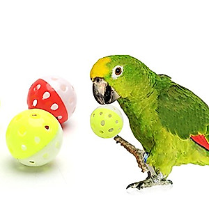 Pet Parrot Toy Bird Hollow Bell Ball for Parakeet Cockatiel Chew Fun Cage Toys Practical Design and Durable