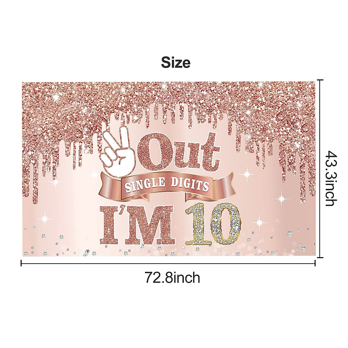 Large 10 Years Old Birthday Banner Decorations for Girls, Pink Rose Gold 10th Birthday Backdrop Party Supplies, Out Single Digits I'm 10 Bday Poster Background Sign Decor