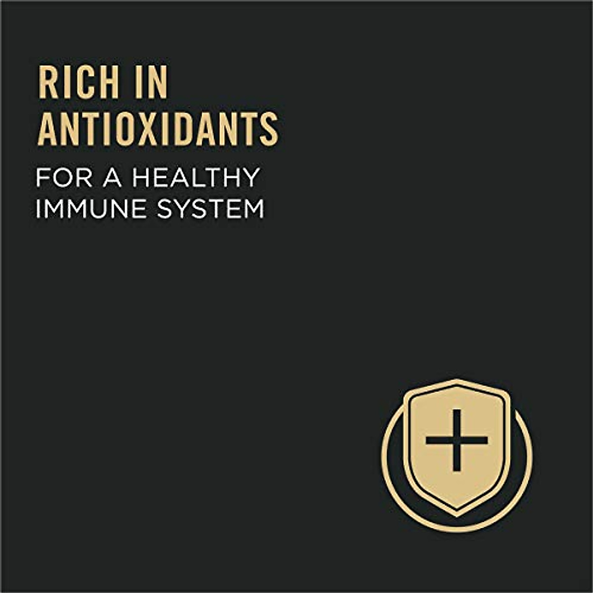 Purina Pro Plan Grain Free, High Protein, Natural Dry Kitten Food, Chicken & Egg Formula - 5.5 lb. Bag