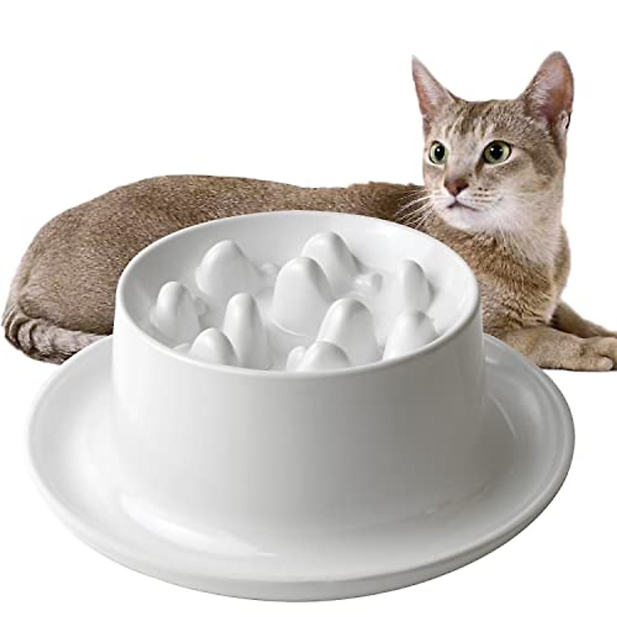 Raised Slow Feeder Cat Bowl, Fish Pool Design Elevated Slow Feeder Dog Bowls, Fun Interactive Bloat Stop Cat Slow Feeder Dry Food, Reduces Neck Burden Slow Down Eating Anti Vomiting Non-Slip No Spill