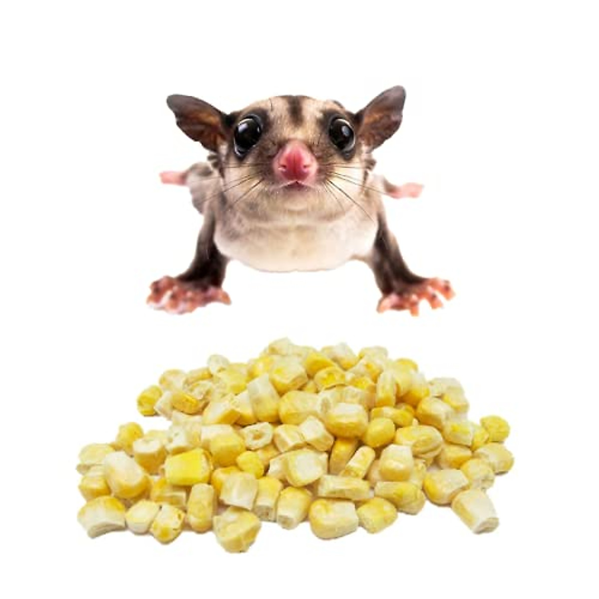 PETIVORE Premium Freeze Dried Corn for Sugar Glider and Small Exotic Pet - Made with Corn - Sugar Glider, Hamster, Squirrel, Chinchillas, Marmoset Happy Treats, Snacks and Food (17g)