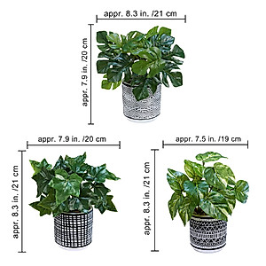 Winlyn 3 Pcs Small Artificial Potted Tropical Plants Faux Monstera Ivy Pothos in Black Geometric Pots for Gifts Hawaiian Tropical Luau Party Table Shelf Office Indoor Outdoor Decor
