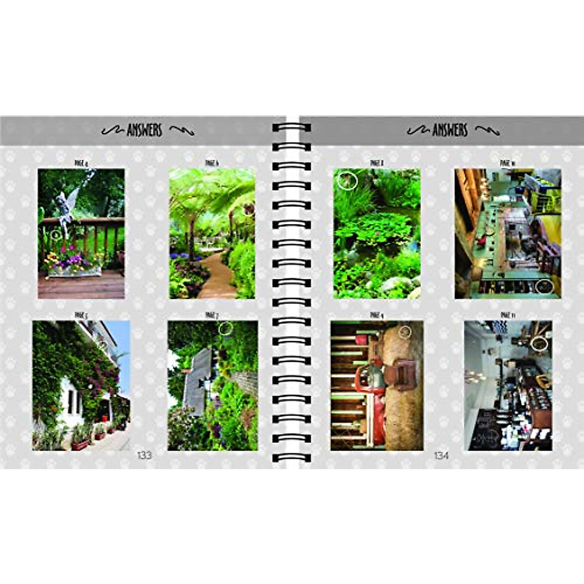 Brain Games - Find the Cat: Track Down Cute Cats and Adorable Kittens in 129 Pictures (Volume 1) (Brain Games - Picture Puzzles)