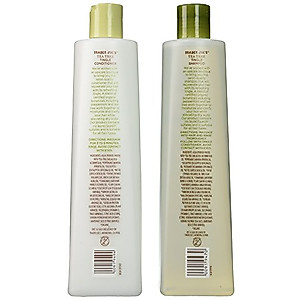 Trader Joe's Tea Tree Tingle Shampoo & Conditioner, 16 oz.