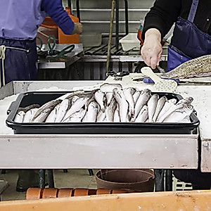 Cinkyou 13L 4-Pack Commercial Bus Tub, Plastic Bus Box, Black