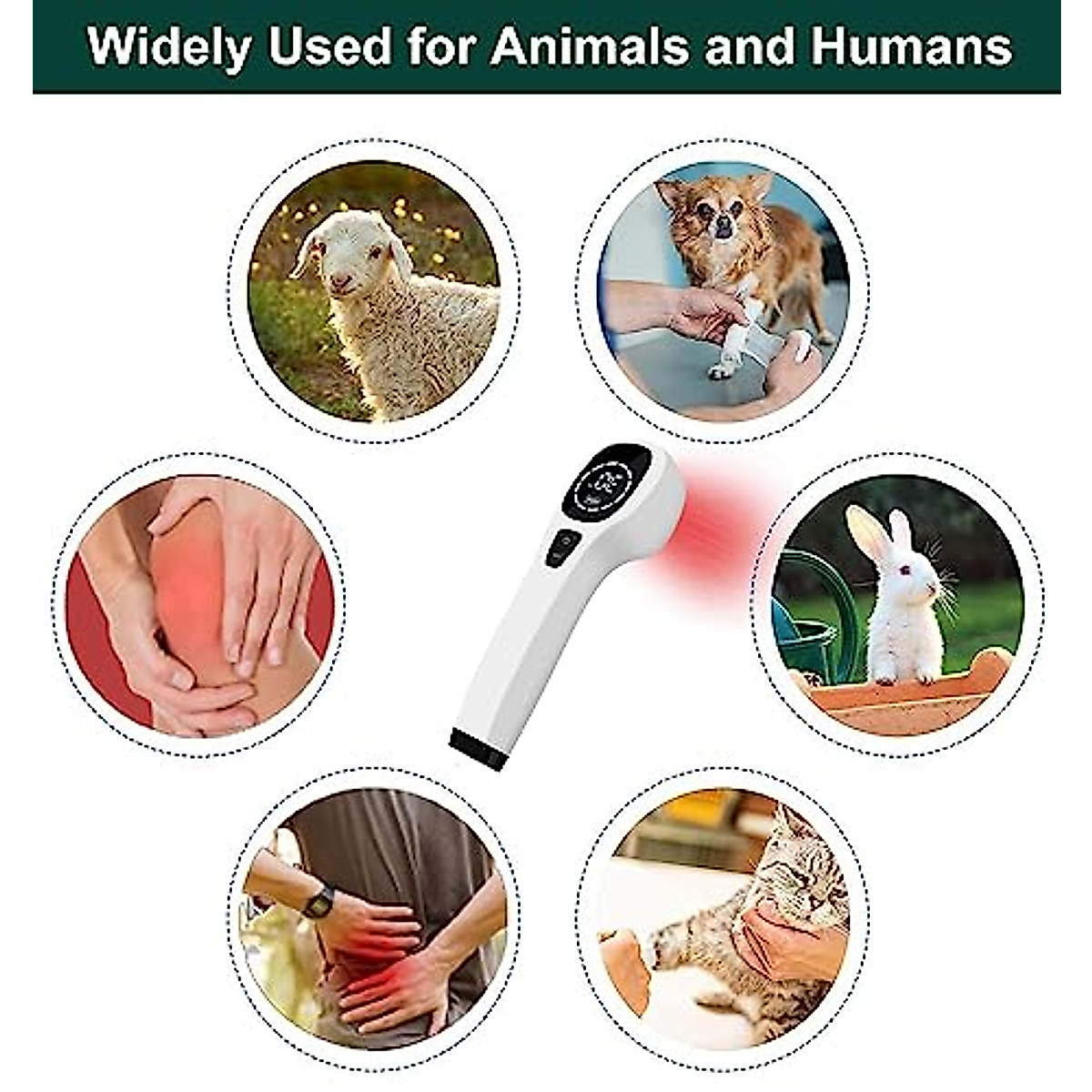 iKeener Handheld Red Light Therapy for Dogs,Portable LLLT Vet Device for Dogs and Pets, 650nm & 808nm Infrared Therapy for Pain Relief,Itching Skin & Wound Care in Dogs, Cats, Horses