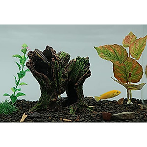 AQUA KT Aquarium Landscape Tree Stump Trunk Hollow Betta Cichlid Cave Rocks for Fish Hiding Tank Decoration Decorations