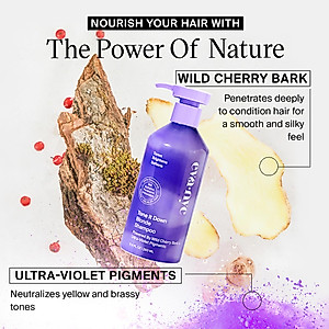 Eva NYC Tone It Down Purple Shampoo for Brightening Blonde Hair, Eliminating Brass & Yellow Tones - Moisturizing & Vegan, 8.8 oz