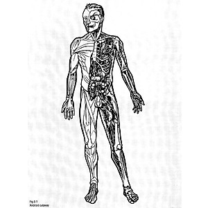 Aliens: Colonial Marines Technical Manual
