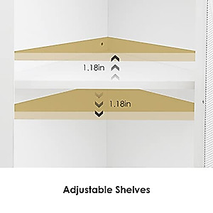 HITHOS 71" Tall Corner Shelf, 6-Tier Corner Bookcase, Gold Bookshelf with Storage Cabinet, Modern Display Shelf, Free Standing Storage Rack Plant Stand for Living Room, Bedroom, Home Office, White