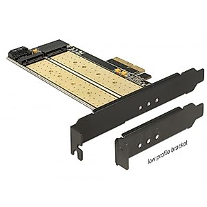 Adap Delock PCI-E Karte Memory Controller