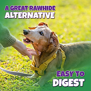 Turkey Tendons for Dogs Made in USA with 100% Turkey and No Glycerin, Healthy Jerky Dog Treats for Medium Dogs, Natural Dog Chews, Dog Jerky Treats, Human Grade Dog Treats Small Dogs, 12 oz Bag.