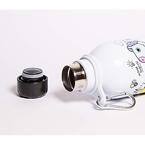 Official Kawaii Water Bottle 500ml Merchandise / 17OZ, Stainless Steel, Vacuum Insulated Water Bottle, Double Wall Reusable Water Bottle With Carabiner, BPA Free - Kawaii Stuff