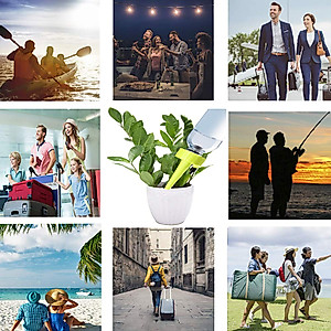 DFYOUHOME® Automatic Plant Self Watering Devices Spikes Irrigation Drippers with Slow Release Control Valve Switch for Vacation to Care Your Home Plants, Flower beds, Vegetable Gardens, Lawn (12PCS)