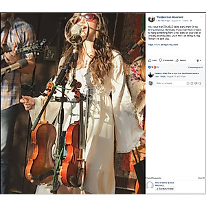 String Swing Violin hanger for Mic Stand Holds two Violins or Viola Twin Violin Twin Violin