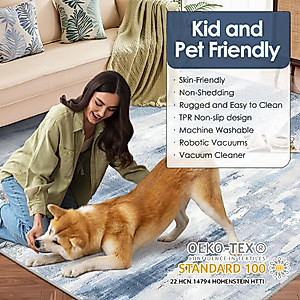 INGEROOM Washable Area Rug - Area Rugs 5x7 Abstract Soft Machine Washable Rug with Non-Slip Backing for Living Room, Bedroom, Dining Room (Gray and Blue, 5'x7' Feet)