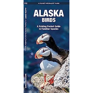 Alaska Birds: A Folding Pocket Guide to Familiar Species (Nature Observation North America)