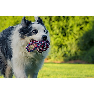 Dog Cotton Rope Toys Set for Medium and Large Dogs Who Love to Play Rough and are Aggressive Chewers. Almost Indestructible, Washable Dental Floss, Tough Tug of War/Chewing Toys - (6 pack)