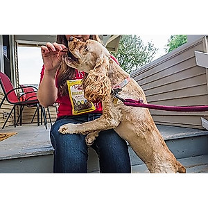 Tender & True Organic Turkey Jerky Treat, 4 oz bag