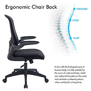 FelixKing Office Chair, Ergonomic Desk Chair with Adjustable Height, Swivel Computer Mesh Chair with Lumbar Support and Flip-up Arms, Backrest with Breathable Mesh (Black)