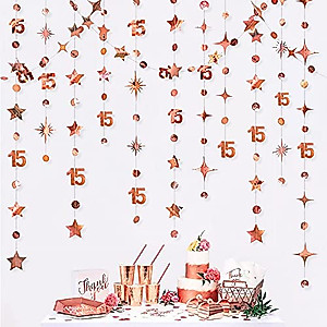 Rose Gold 15th Birthday Decorations Number 15 Circle Dot Twinkle Star Garland Metallic Hanging Streamer Bunting Banner Backdrop for Girls Boys Fifteen Year Old Birthday 15th Anniversary Party Supplies