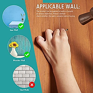 Hotop Picture Hanging Nails Picture Frame Nails Black Steel Nails and Brass Head Picture Frame Hangers Nails Hardware, 5-30 lbs (75 Pieces,Small, Medium, Large)