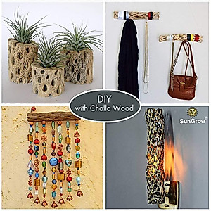 SunGrow Hermit Crab Woods, Climbing Logs, Chew Toy, Keep Hermies Busy and Active, Long Dried Aquarium Décor Adds Raw Beauty, 6 Pcs