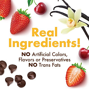 Triple Scoop Ice Cream Mix, Starter for use with Home Ice Cream Maker, Non-Gmo, No Artificial Colors or Flavors, Ready in Under 30 Mins (1, Mint Chocolate Chip)