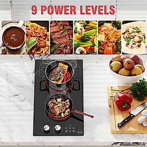 Plug-in 2 Burner Electric Cooktop, 120v Knob Electric Stove Top, 12 Inch Built-in Radiant Electric Stove 110v, Electrics Ceramic Cooktop with Child Safety Lock, Timer, Over-Temperature Protection
