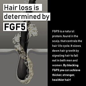 évolis Promote Nourishing Conditioner | Promotes Stronger Lengths and Smooths Hair | Sulfate Free | Color Safe | Hair Strengthening Conditioner for Dry, Damaged Hair (8.5 fl oz)