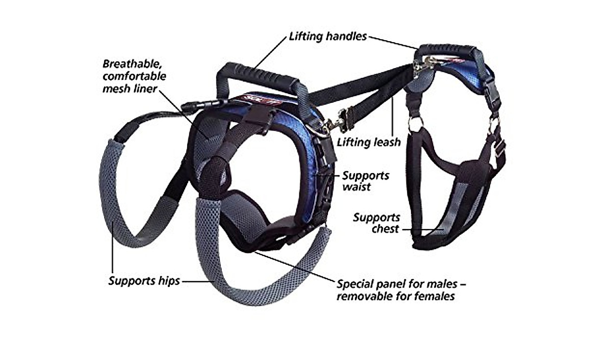 PetSafe CareLift Support Harness for Dogs - Full Body Assistance & Lift