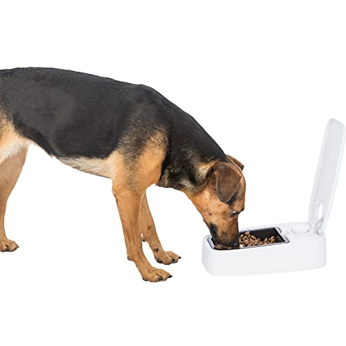 TRIXIE TX1 Automatic Food Dispenser, Single Serving, 48-Hour Timer, Battery Operated