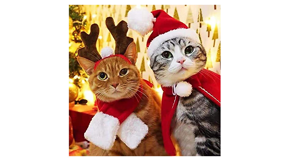 Adorable Cat Christmas Costume Set for Festive Fun