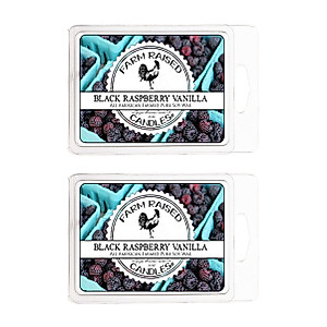 Black Raspberry Vanilla 2 Pack 12 Cubes 6 Ounces Total Scented Flameless Soy Wax Melts 100% Natural American Farmed Soy Wax. Premium Fragrance Oils, Smokeless Candles, Vegan Friendly