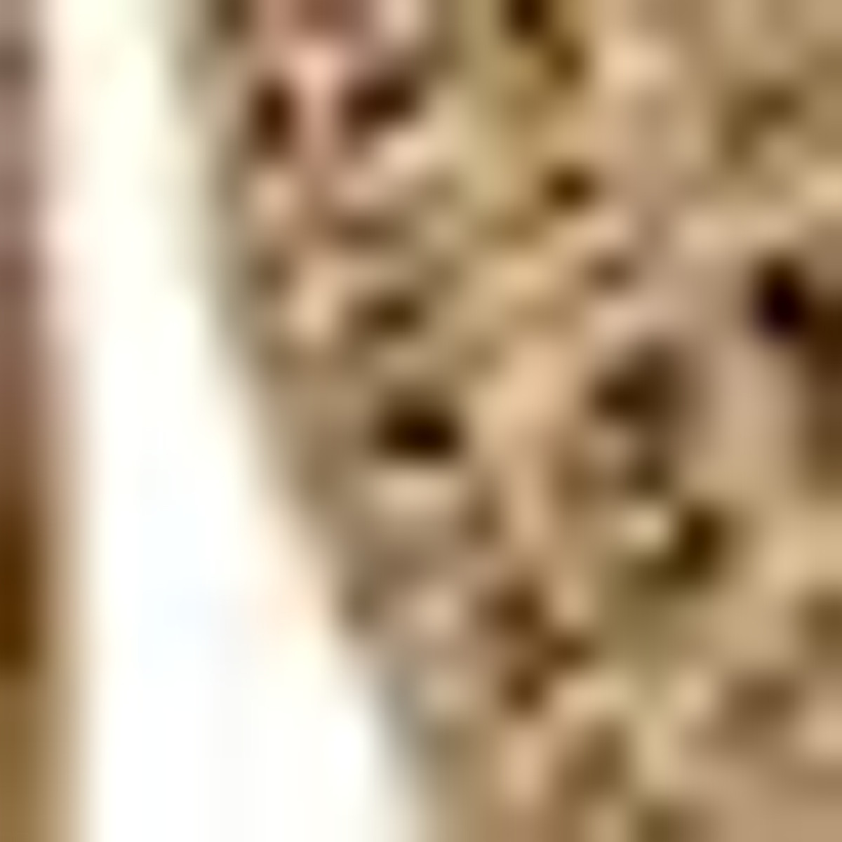 Oweisong Straw Clutch Purses for Women Handmade Straw Crossbody Shoulder Bag Summer Woven Beach Envelope Wallet