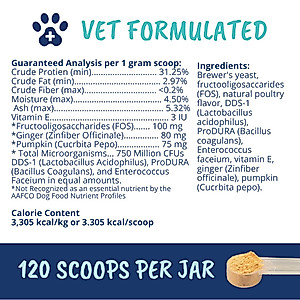 Under The Weather Pet Probiotic Powder for Dogs | Vet Formulated Dog Probiotics Supplement Filled with Good Bacteria | Promotes Healthy Digestion, Appetite, and Strong Immune System| 120 Servings