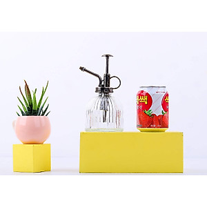 Hovico Glass Plant Mister Spray Bottle, 6.5 Inches Tall Vintage Style Spritzer, Bronze Plastic Top Pump, Watering Glass Spary Bottle Plant Mister Glass Watering Garden Tool(Clear)