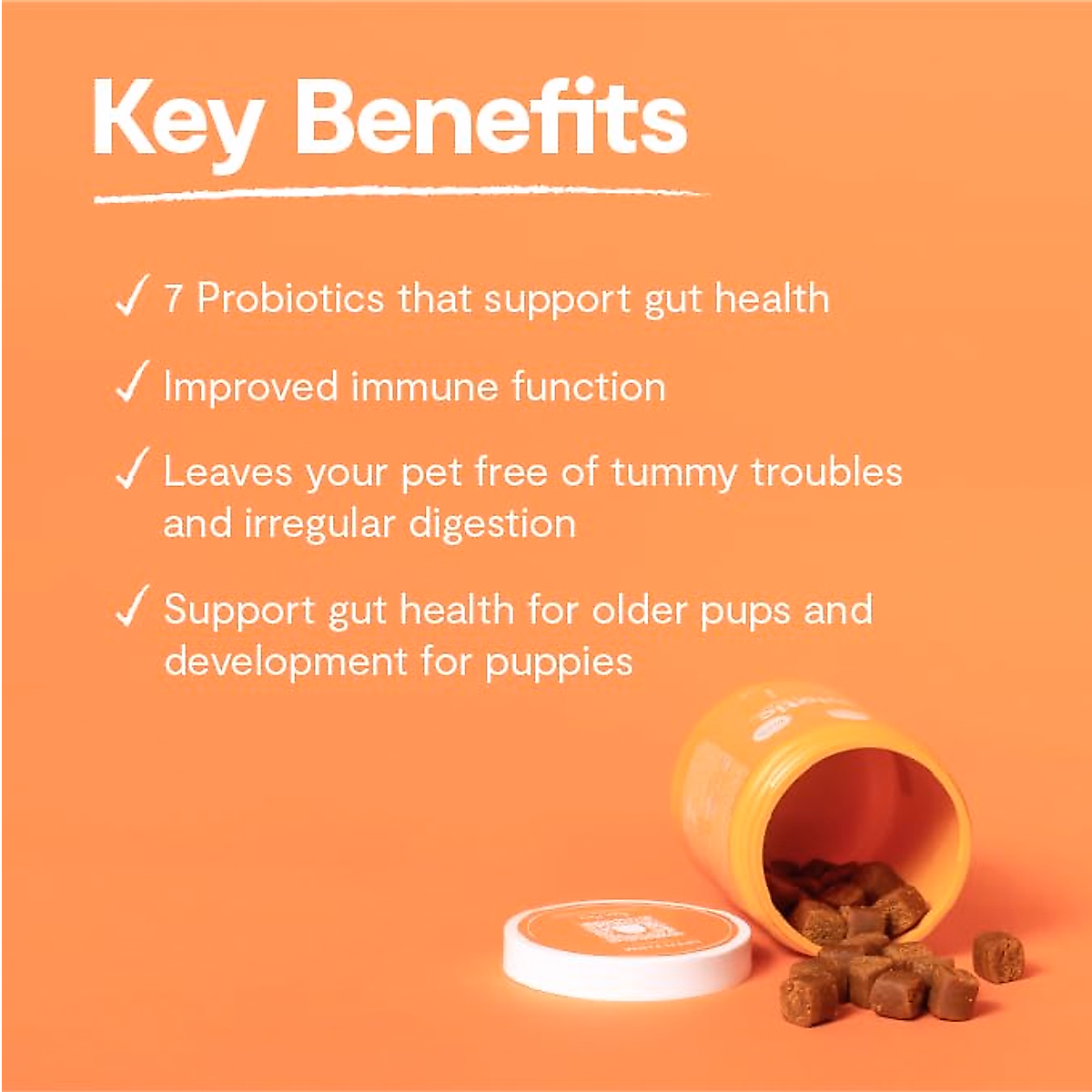 Open Farm Probiotic Chews, Dog Supplement, Dog Vitamins, Supports Normal Flora and Bowel Movement Using Traceable and Vet-Approved Ingredients, 12.7 oz, 90 Count