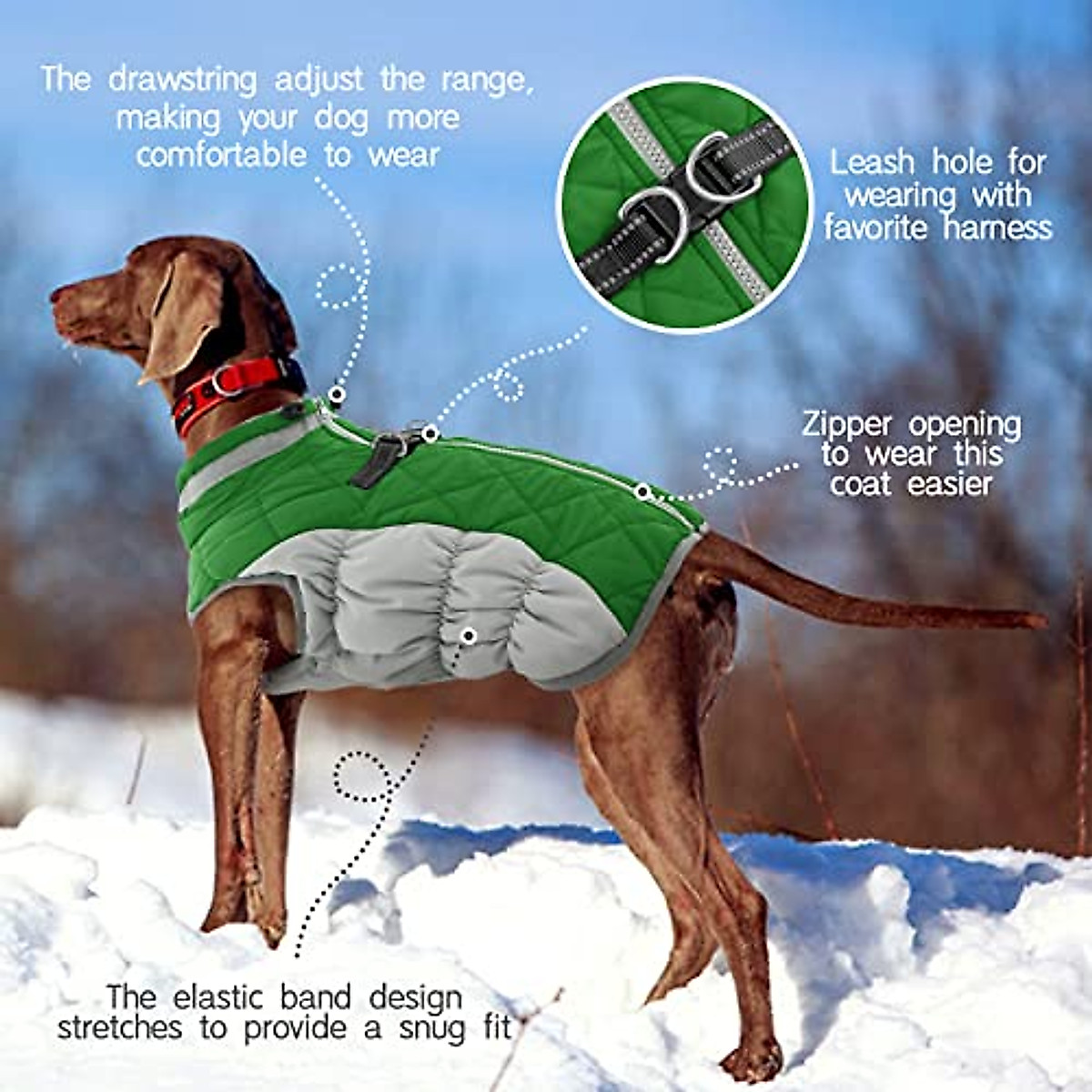 FUAMEY Dog Coat,Warm Dog Jacket Winter Coat Paded Dog Fleece Vest Reflective Dog Cold Weather Coats with Built in Harness Waterproof Windproof Dog Snow Jacket Clothes with Zipper Green Medium