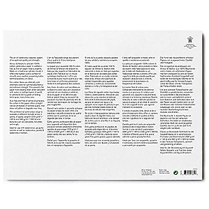 Winsor & Newton Professional Watercolor Paper Block, 10" x 14", Cold Pressed