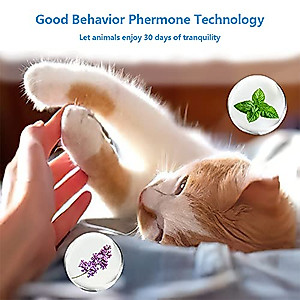 LAKETANEY Cat Calming Collar,Cat Pheromones Calming Collar,Anxiety Collar for Cats and Kittens Stress Reliever Relaxing Comfortable Collar Breakaway Design(3 Pack)