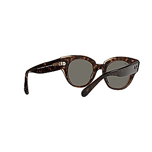 Ray-Ban Women's RB2192 Roundabout Round Sunglasses, Havana On Transparent Brown/Dark Grey, 47 mm