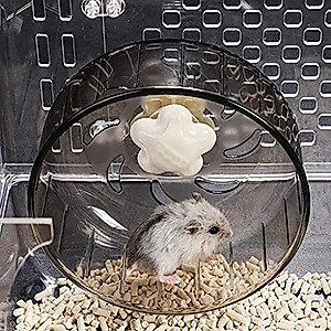 TDDGG Hamster Running Wheels Transparent Hamster Wheel Running Jogging Treadmill Silent Small Pet Supplies