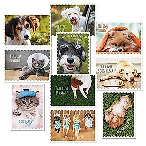 Current Furry Friends Get Well Greeting Cards Value Pack - Set of 20, 10 Unique Designs, Large 5 x 7 Inch Cards, Sentiments Inside, Dogs, Cats, Pets