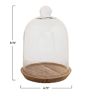 Creative Co-Op Glass Mango Wood Base Cloche, 6-3/4" Round x 8-3/4"H, Clear