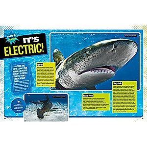 The Ultimate Book of Sharks (National Geographic Kids)