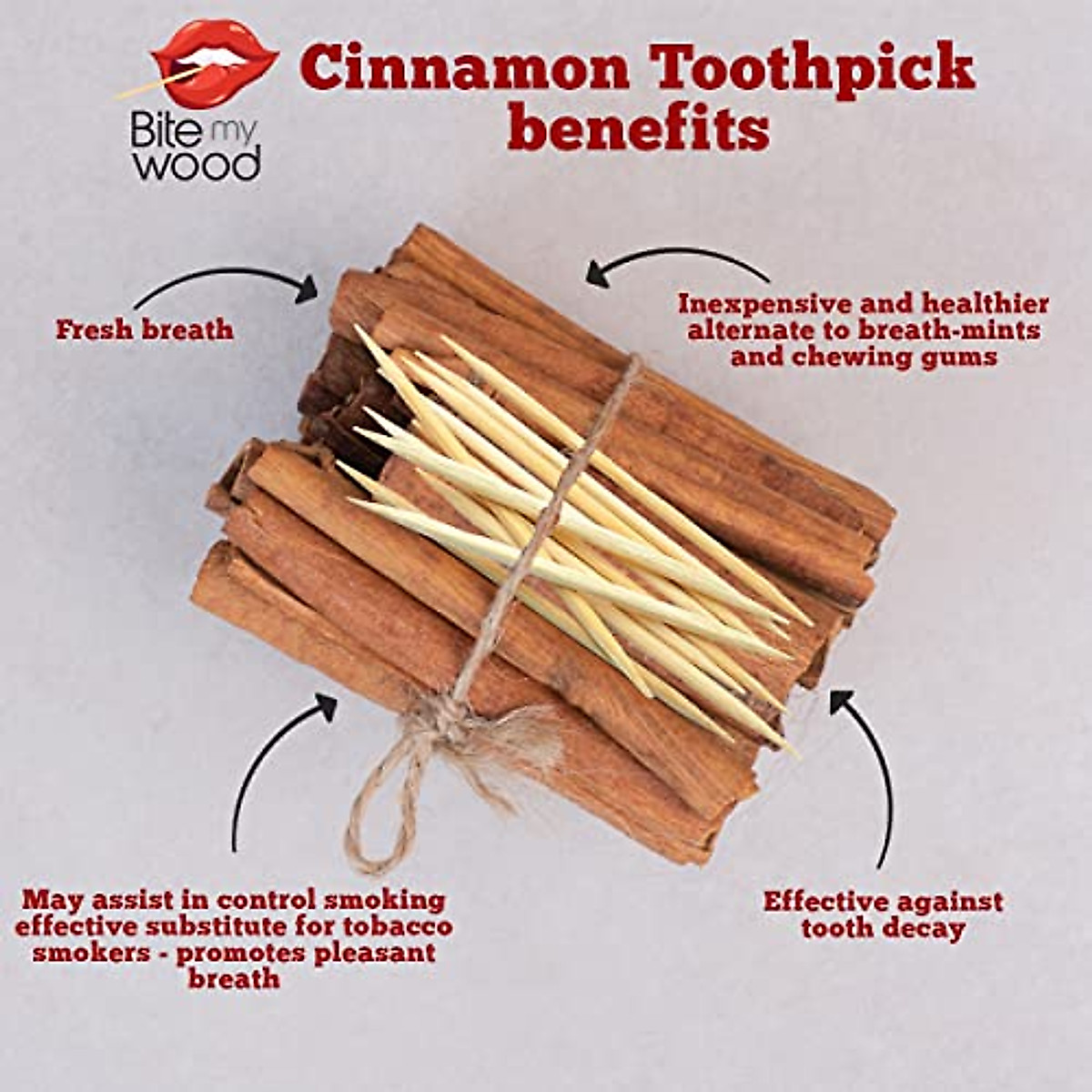 BiteMyWood Cinnamon Toothpicks For Adults Long Lasting Super Hot And Spicy Cinnamon Flavored Toothpicks Perfect For Someone Trying To Quit Smoking Lip Tingling Cinnamon Flavor (100 Picks)