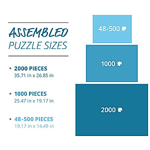 Frisco, North Carolina - 18 November 2020 Rays Filter THR. Jigsaw Puzzle Jigsaw Puzzle with 500 Pieces